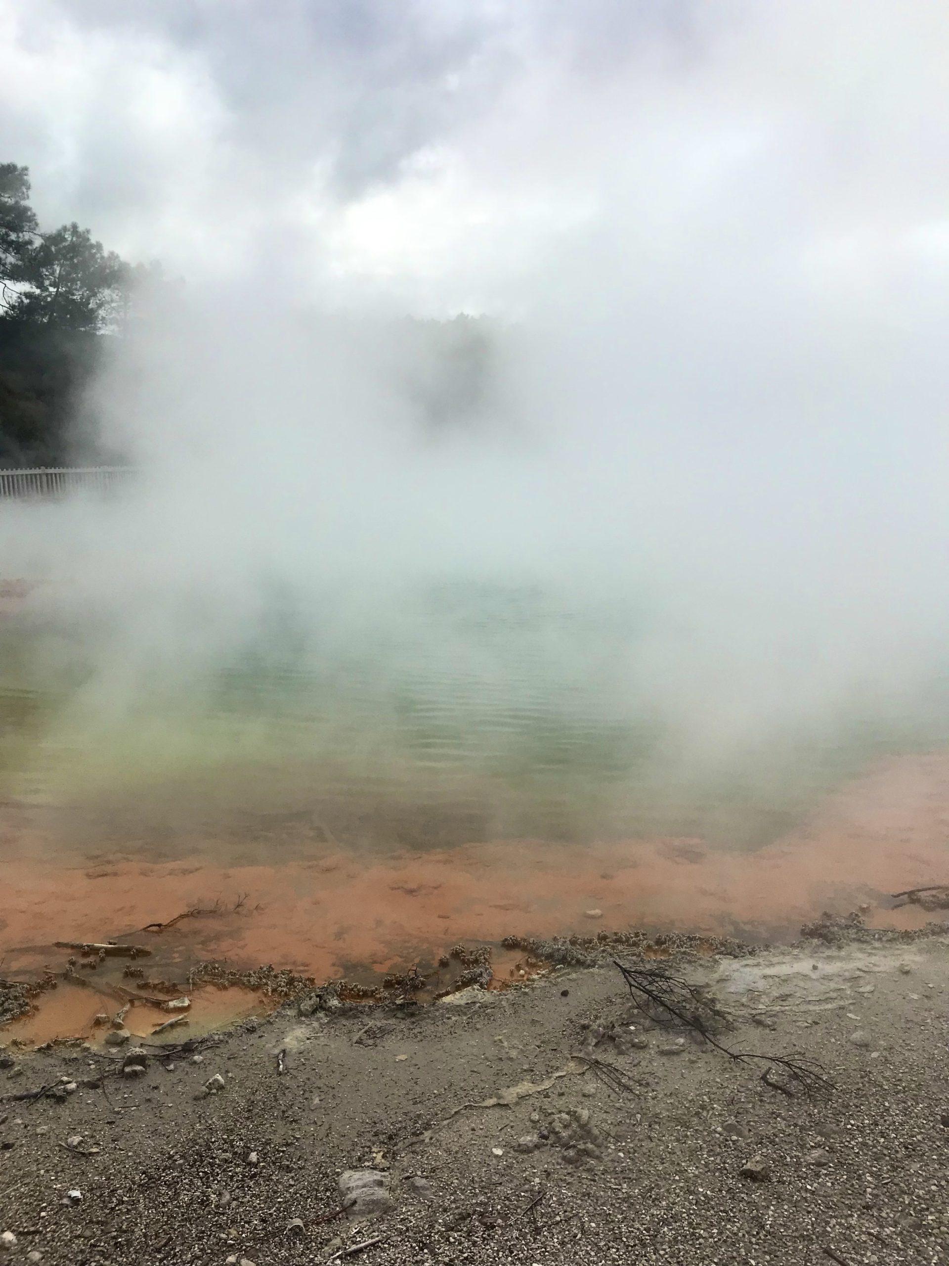 You’ll Love Exploring These Geothermal Walks in Rotorua