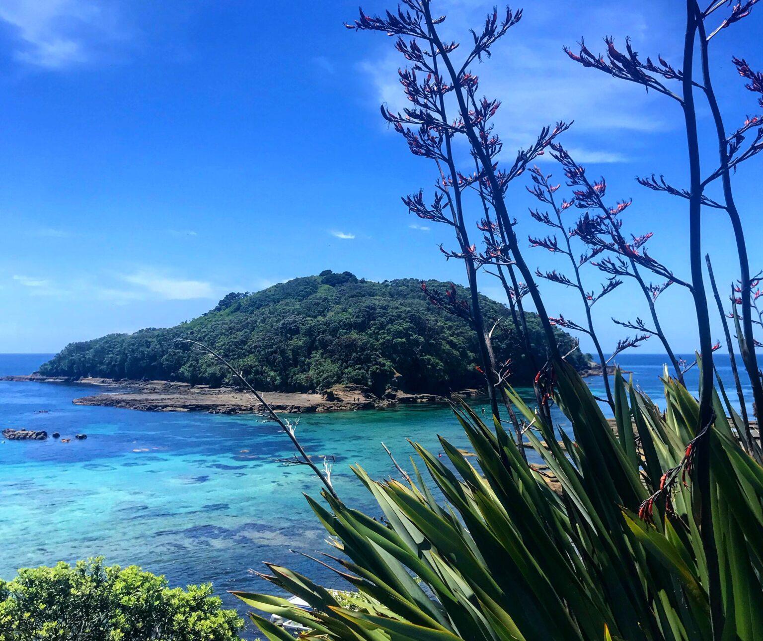 New Zealand North Island Map: 30+ Top Places to Visit