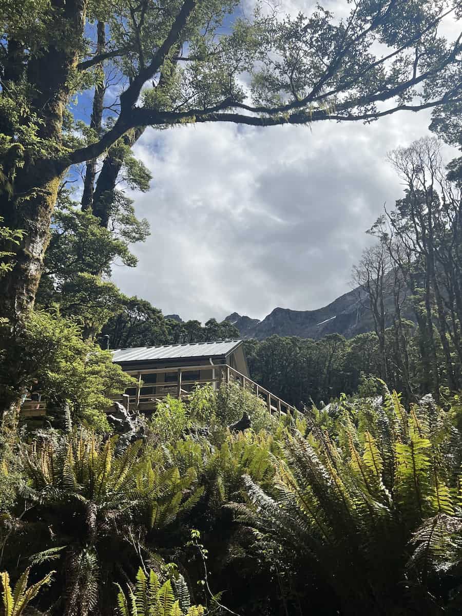 Milford Track Huts: Preparing for This NZ Great Walk