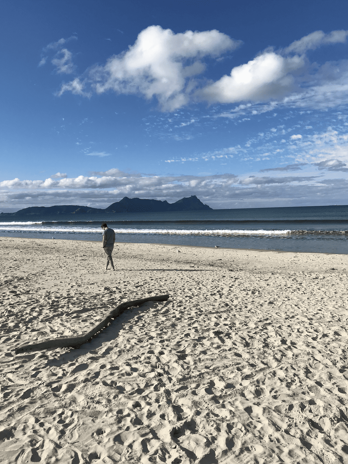 Best Things To Do in Whangarei, Aotearoa New Zealand