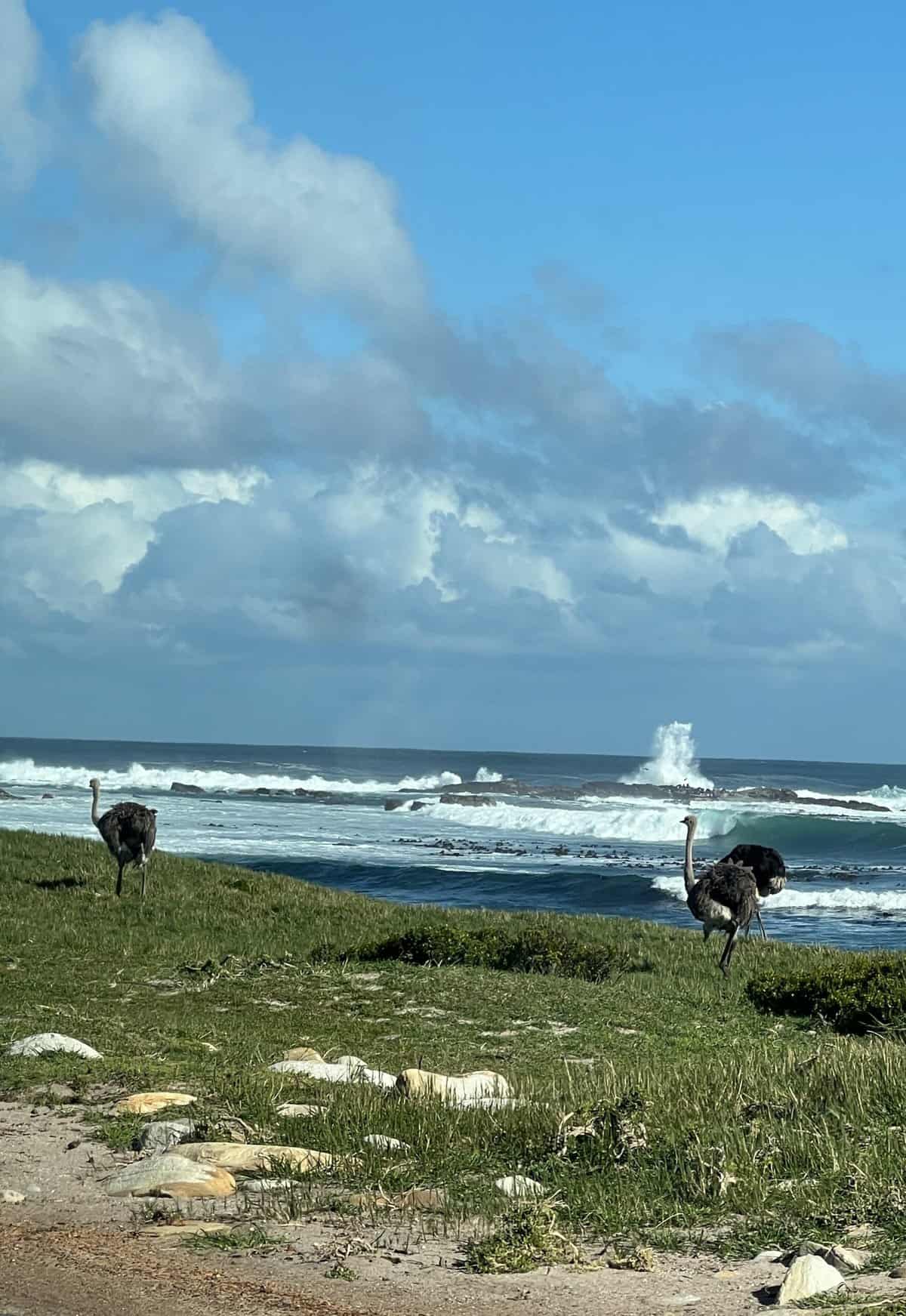 The Perfect Weekend Getaway at Cape Point