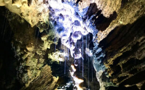 Stunning Glow Worm Caves in New Zealand