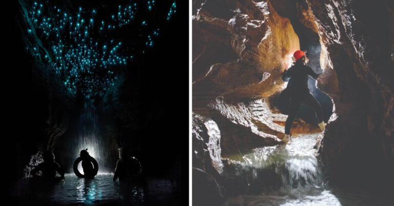 Stunning Glow Worm Caves in New Zealand