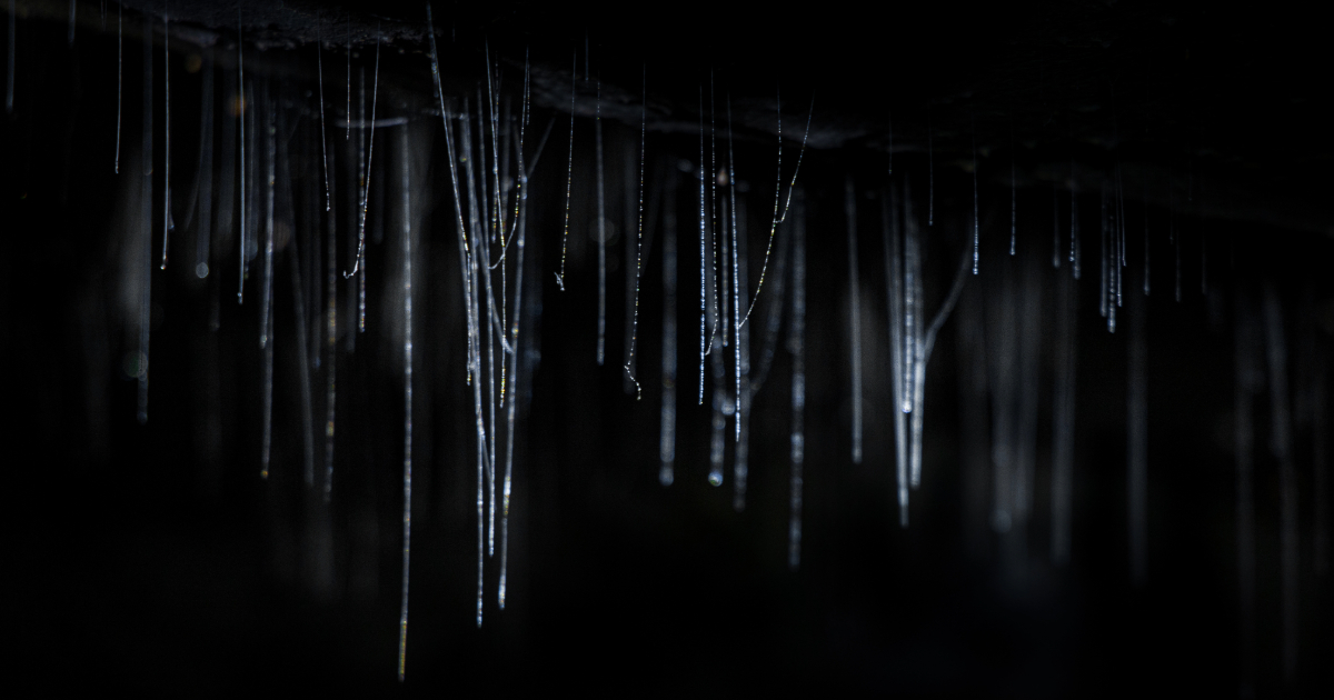 Best Glowworm Caves in New Zealand: Waitomo & Beyond (2026)