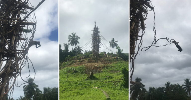 Vanuatu’s Ancient Nagol Land Diving Ritual (& How to See It)