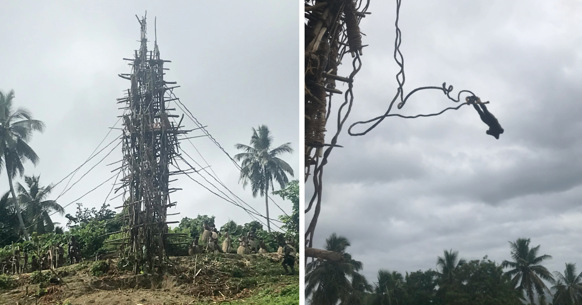 Vanuatu’s Ancient Nagol Land Diving Ritual (& How to See It)