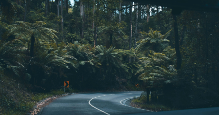 A Free Transfercar: Travel Hack or Too Good to Be True?
