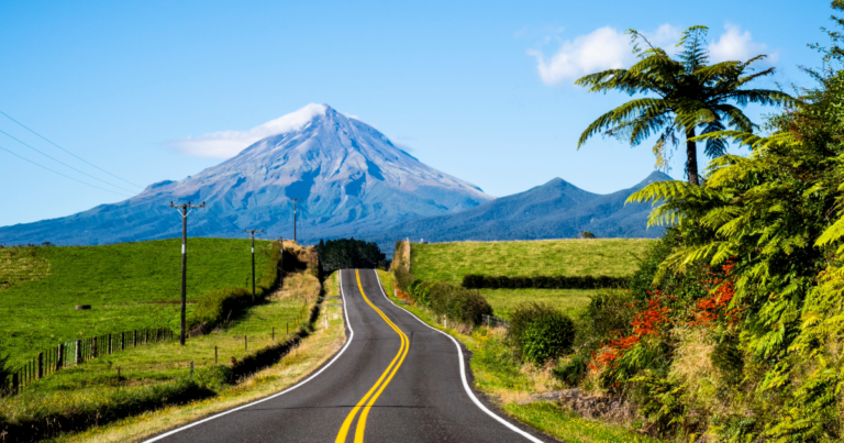 A Free Transfercar: Travel Hack or Too Good to Be True?