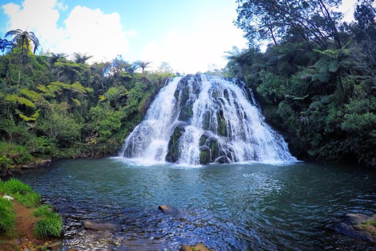 North Island New Zealand Road Trip for the Best Waterfalls
