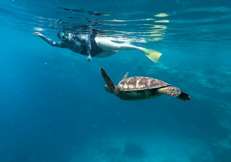 Explore This Cook Islands Map of Activities in Rarotonga